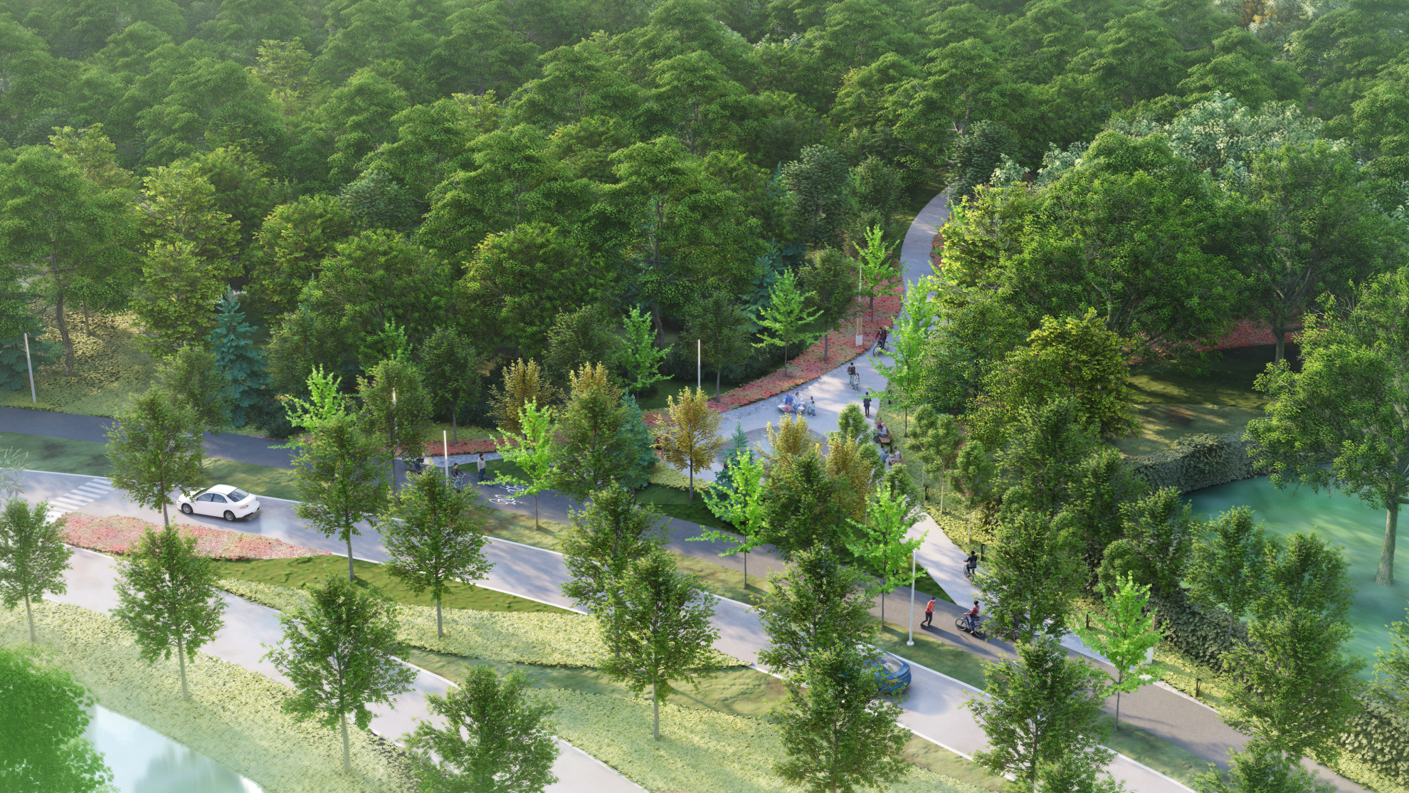 Biodiversity Corridor – Beaulac Street